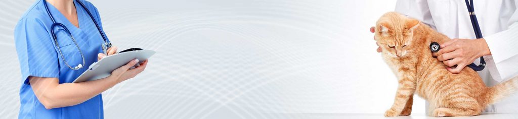 Veterinary Merchant Accounts - BankCard USA